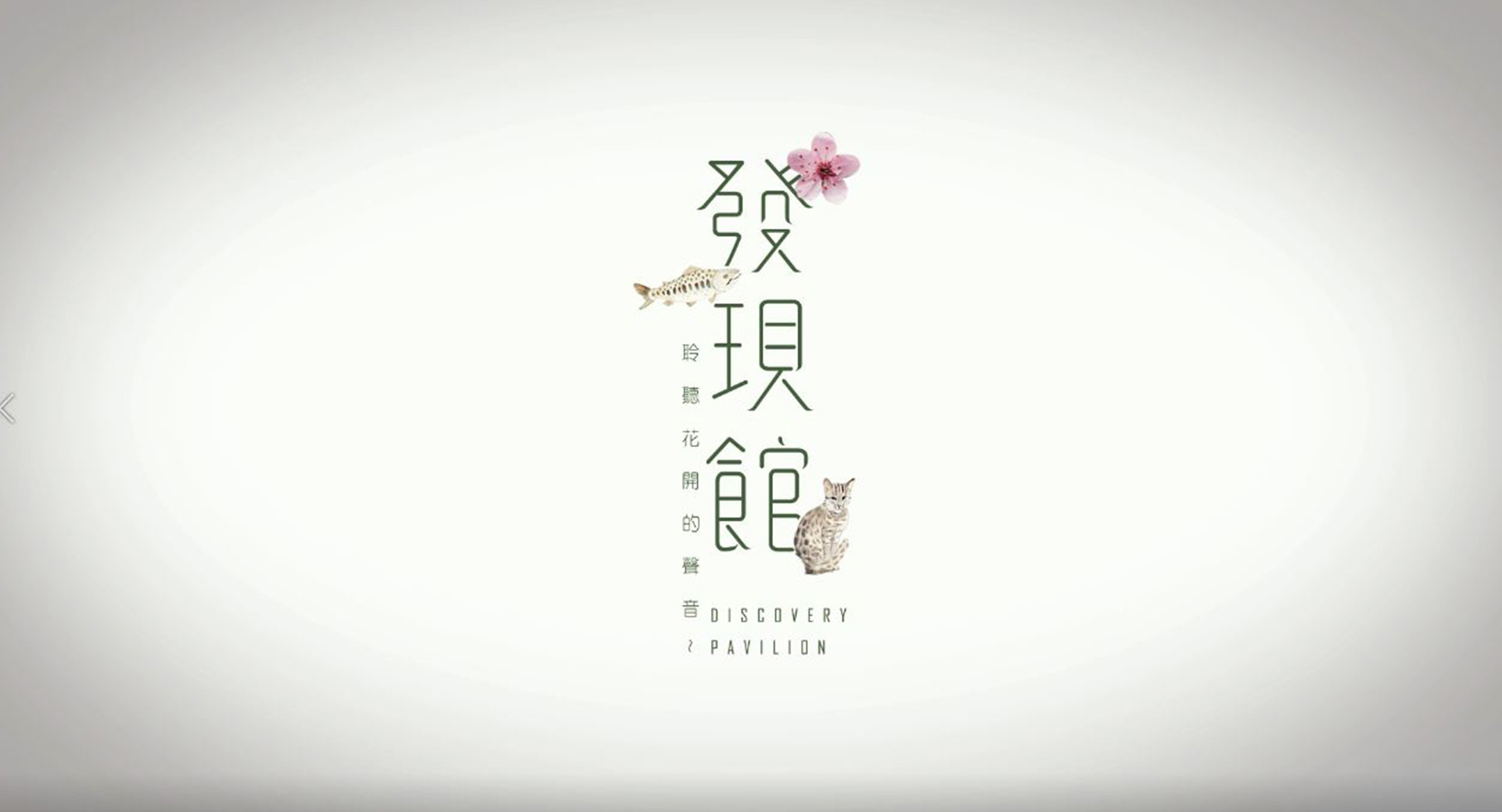 春沐國際-Chun Mu Studio